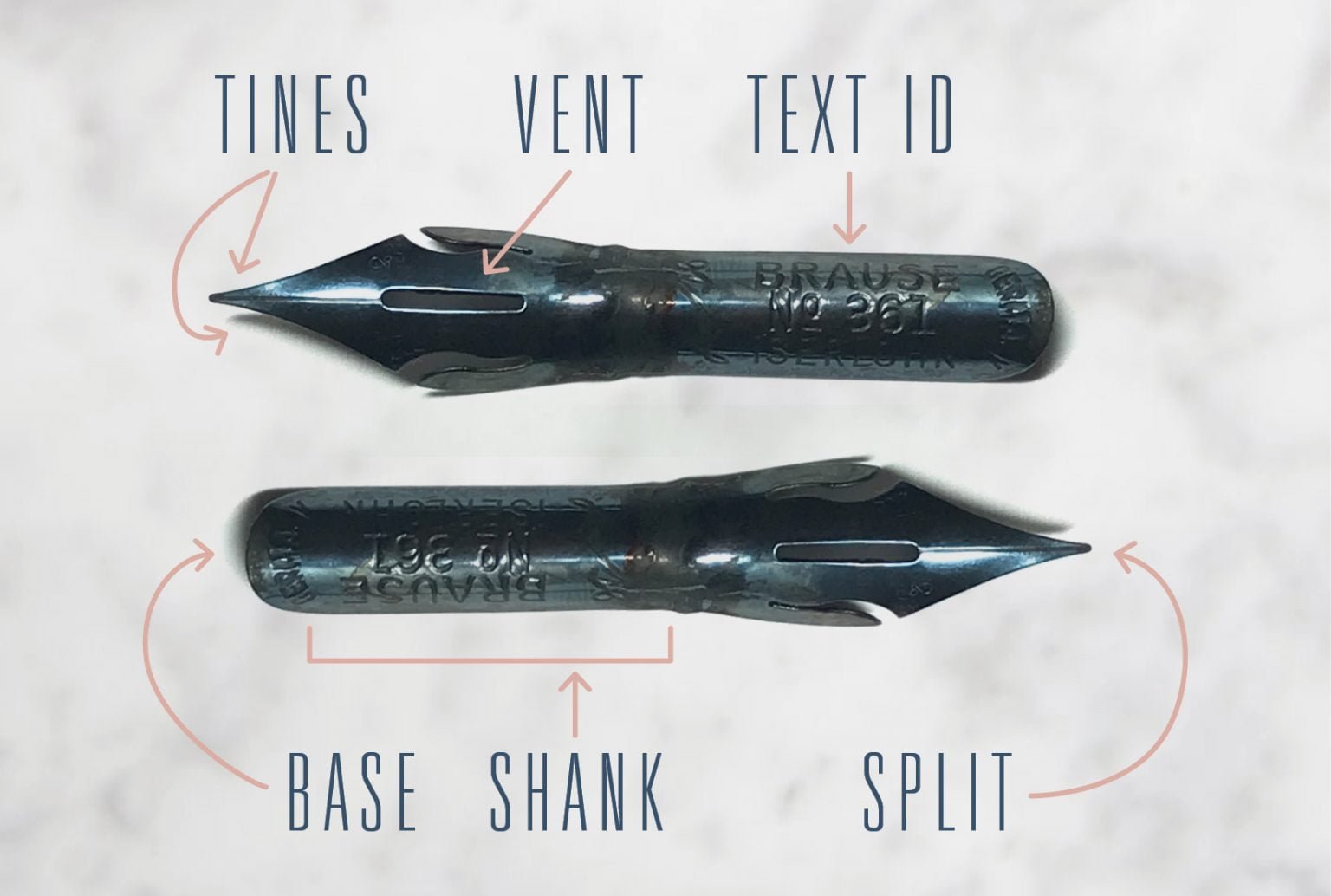 A Review of Pointed Pen Calligraphy Nibs - Proof & Parchment